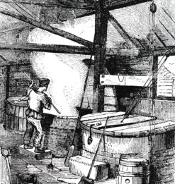 When Soap Was Invented: A Journey Through the History of Soap